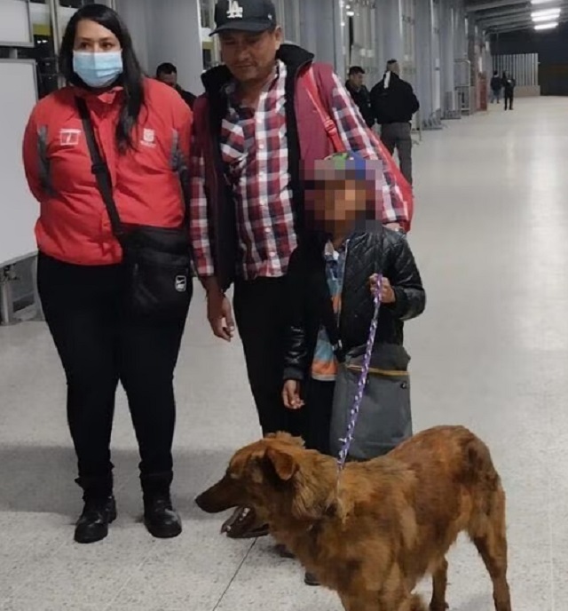 Sercolombiano | El conmovedor encuentro entre ‘Salmo’, un perro perdido ...